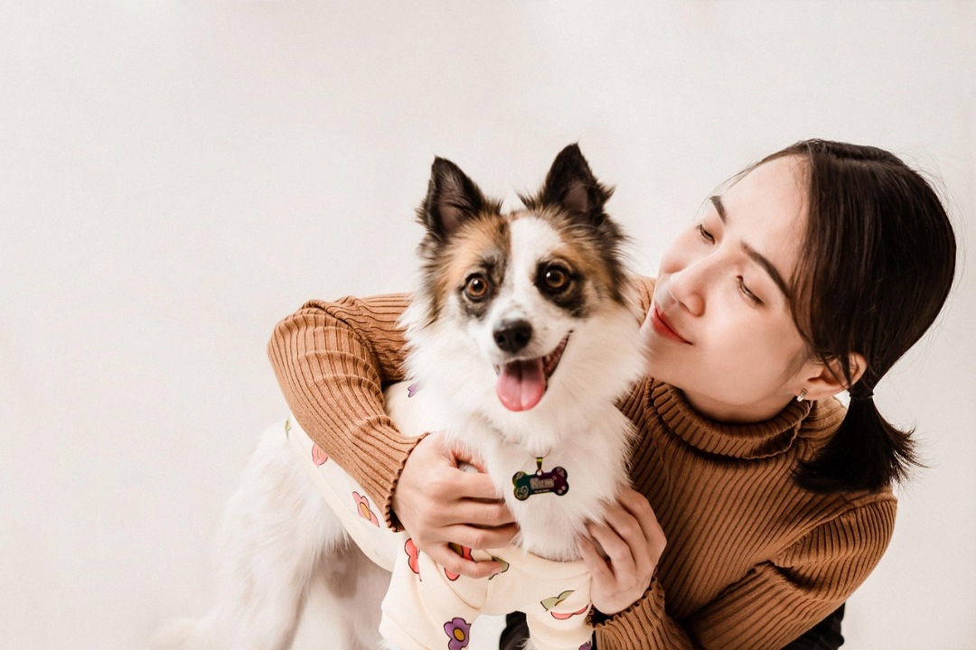 Do Dogs like Hugs: How to Show Your Pooch Affection