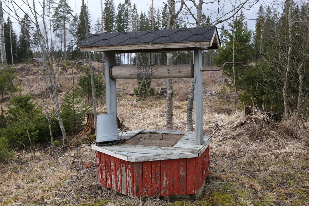 Dog Health Impacted Faster Than Human with Poor Well Water